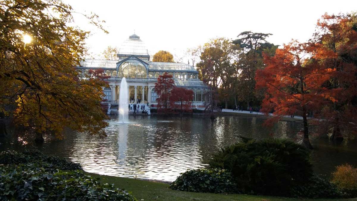 Botánica en el Parque del Retiro y su Huerto Urbano